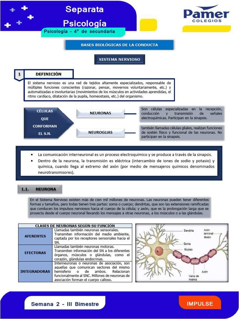 Separata - 4.° Año - SEM 2 - FIL-PSI - III BIM | PDF