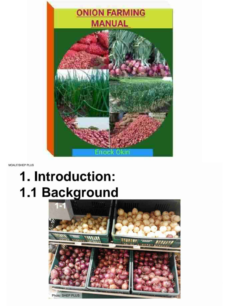 Onion Farming Manual | PDF