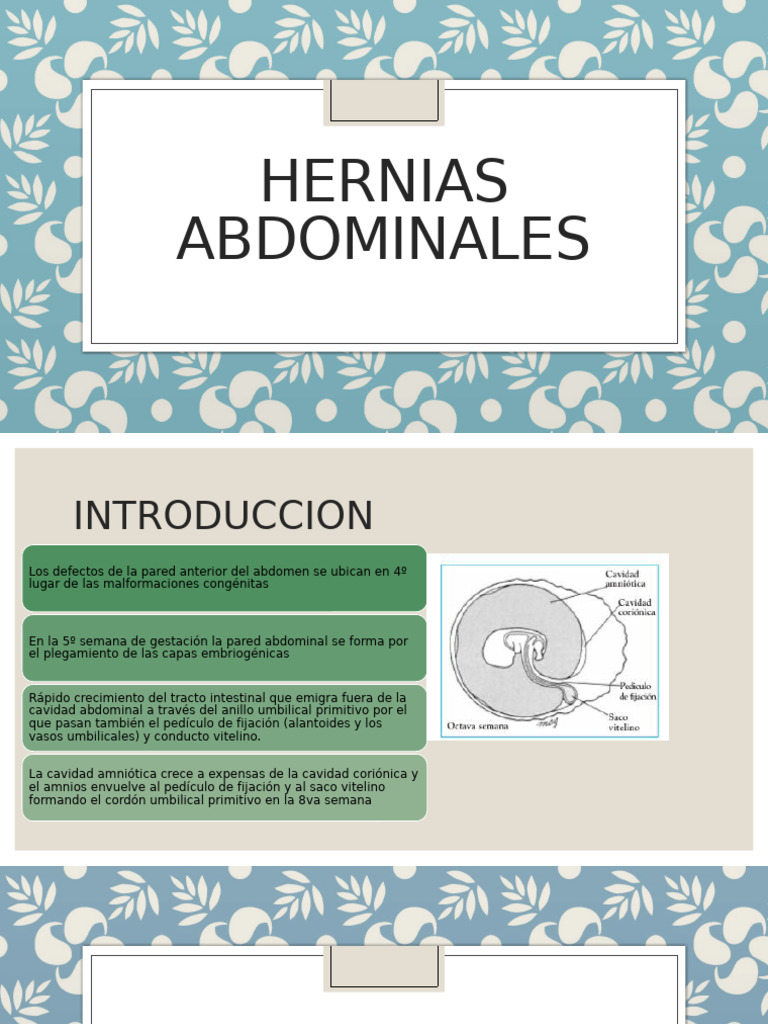 Exposicion Hernias Inguinales | PDF
