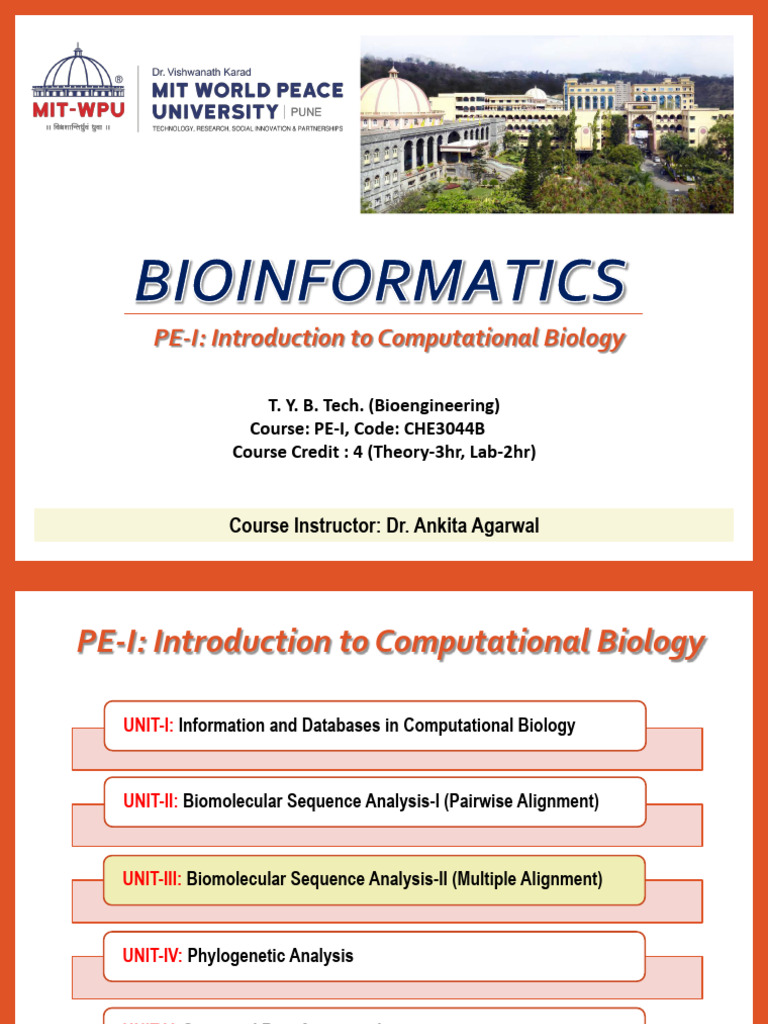 04 50 19 25 04 2024 Pei-Unit3-Bioinfo | PDF
