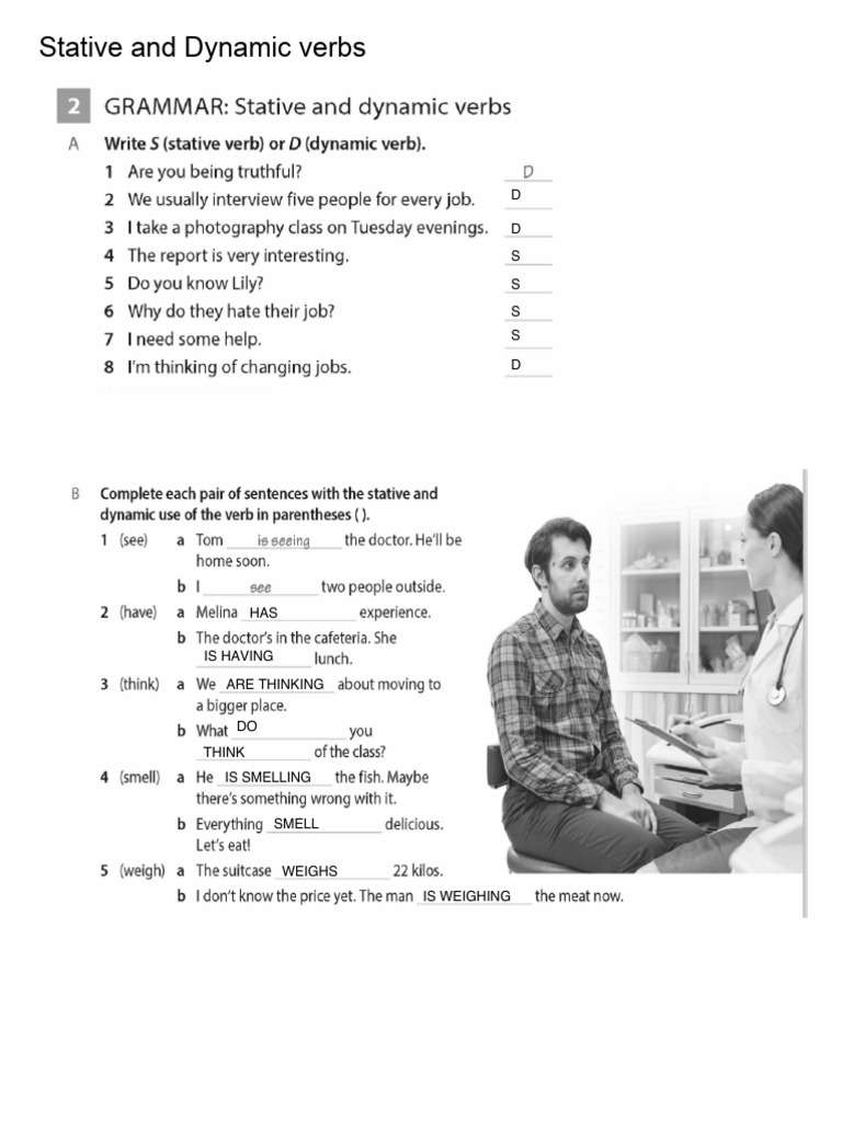 Stative and Dynamic Verbs | PDF