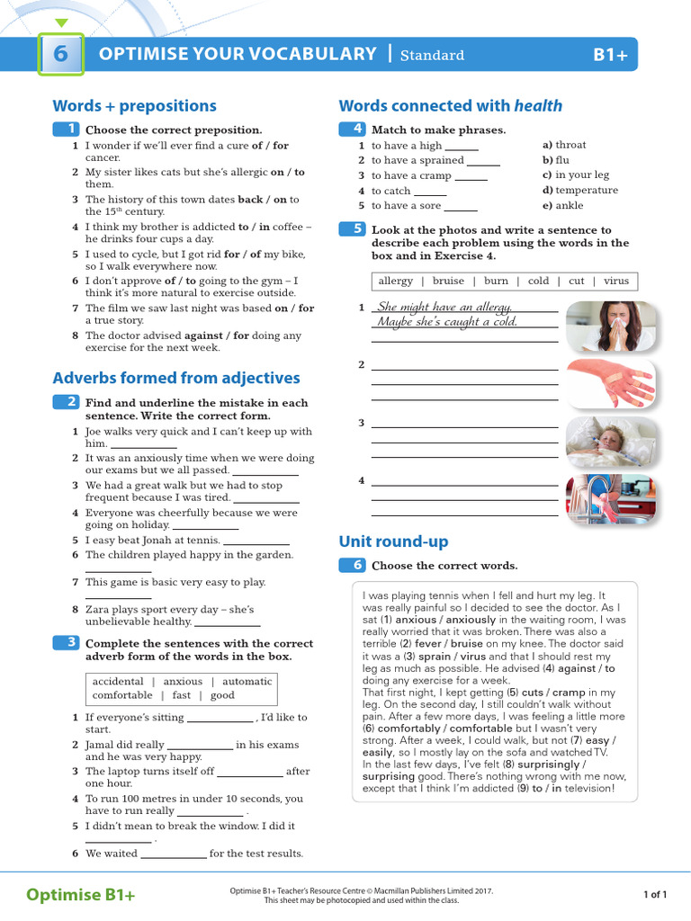 OPT B1plus U06 Vocab Standard | PDF