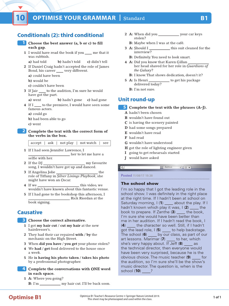 OPT B1 U10 Grammar Standard | PDF