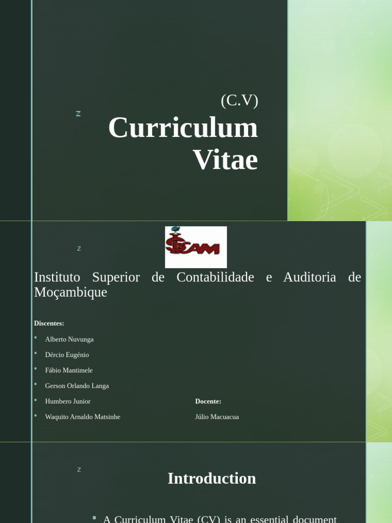Curriculum Vitae 1 | PDF