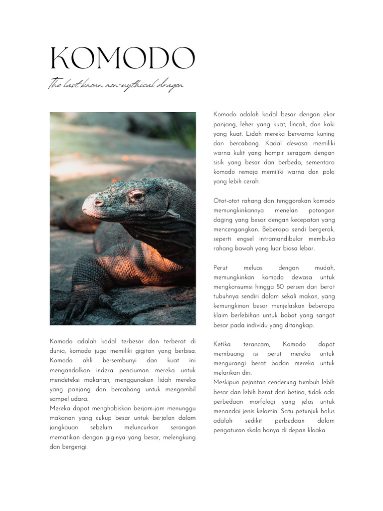 KOMODO | PDF