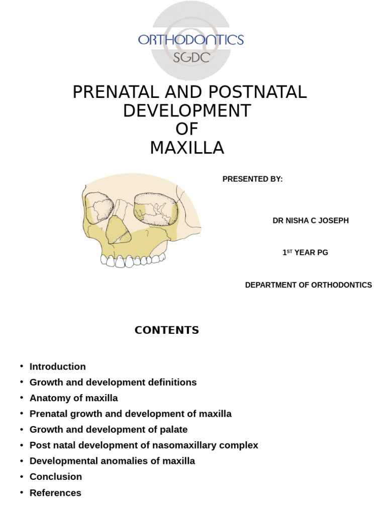 Prenatal and Postnatal Development OF Maxilla: Presented by | PDF