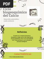 Ciclo Del Calcio | PDF | Calcio | Caliza