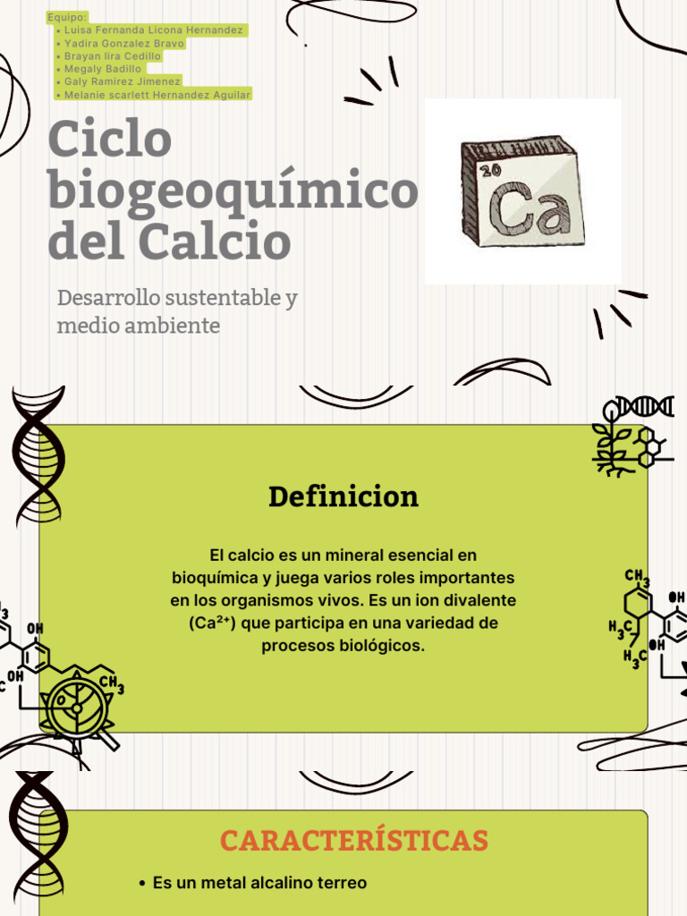 Ciclo del Calcio | PDF