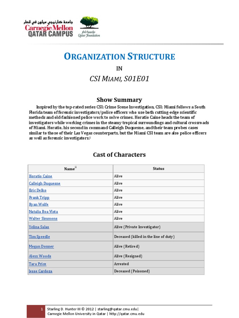 Organizational Structure in "CSI: Miami", S01E01, Golden Parachute ...
