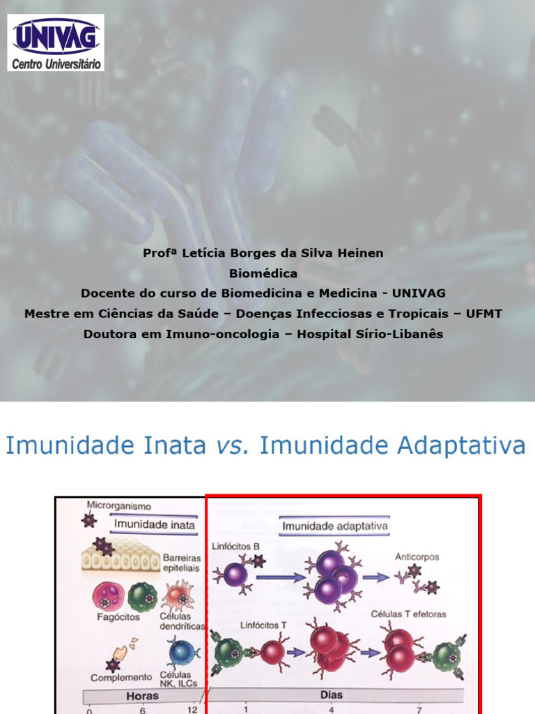 IMUNIDADE ADAPTATIVA Letícia | PDF