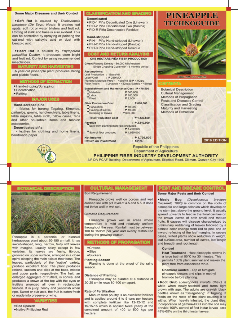 Pineapple Pdf