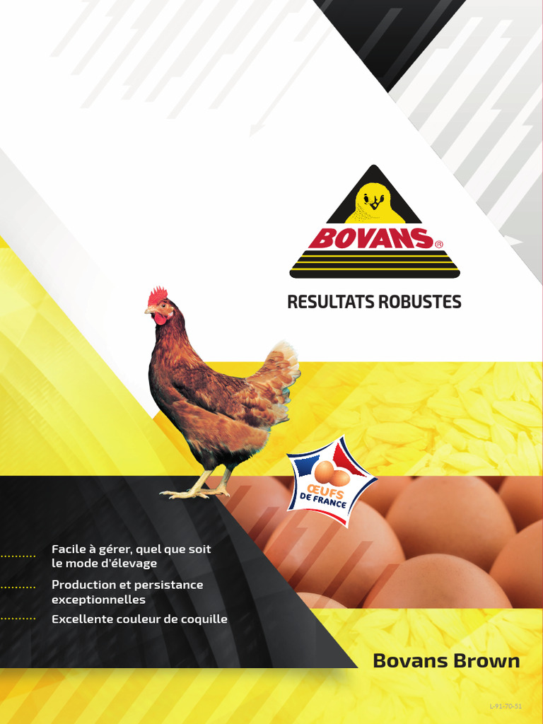 Fiche Produit - Bovans Brown | PDF