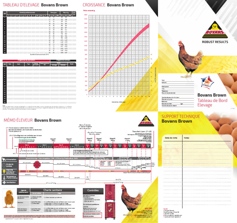 Fiche Elevage Bovans Brown | PDF