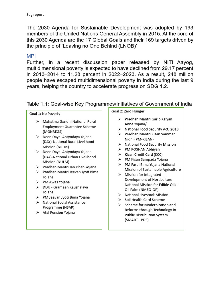 sdg report summary | PDF