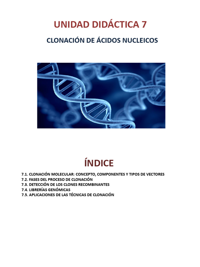 Tema 7. Clonaciã N de Ã Cidos Nucleicos | PDF