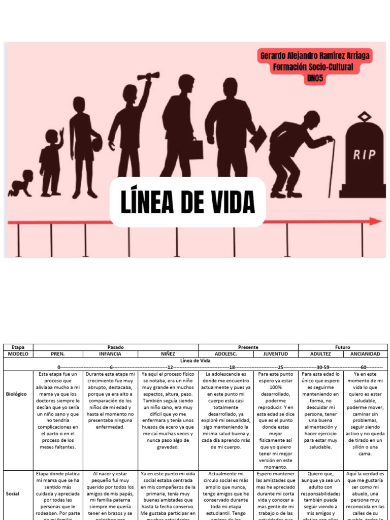 Línea de Vida | PDF