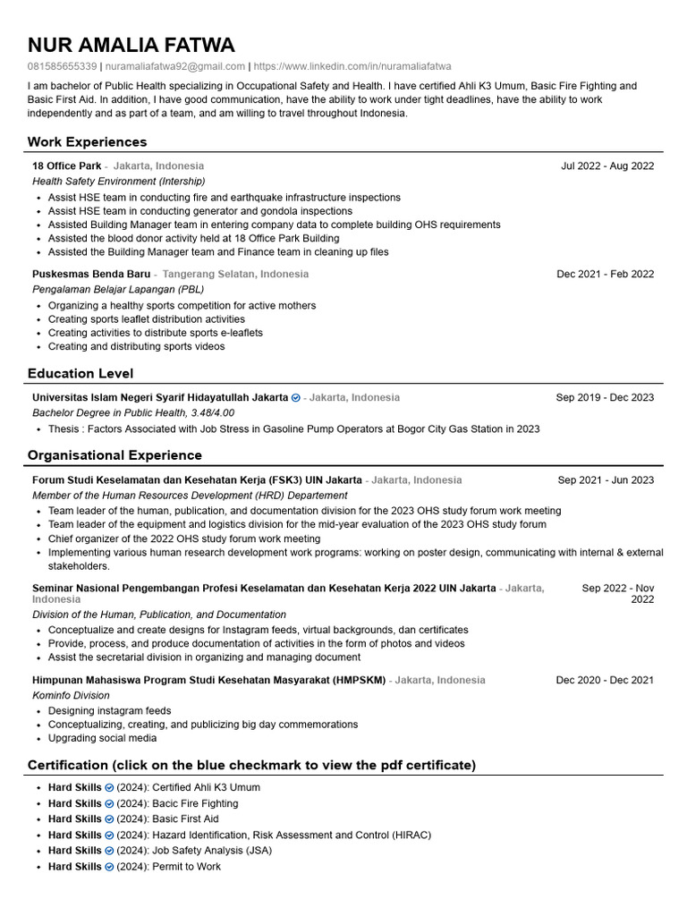 Nur Amalia Fatwa (CV ATS) | PDF | Komputer