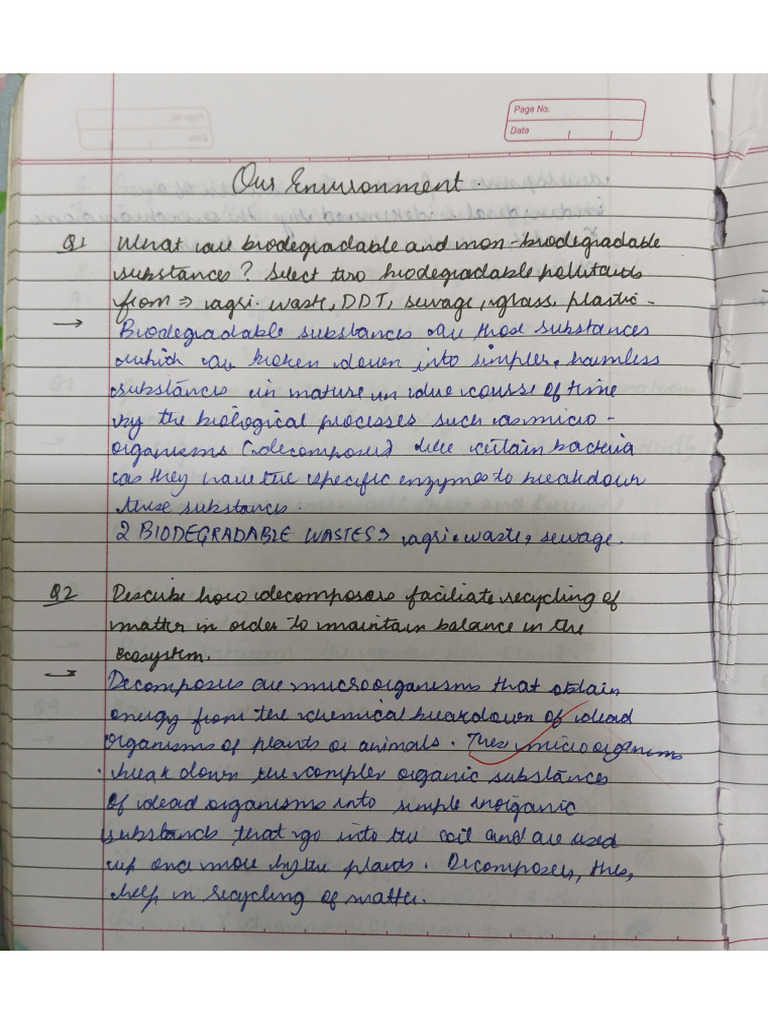 Our Environment | PDF