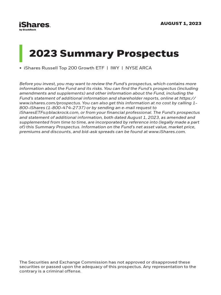Summary Prospectus-IWY | PDF | Investment Fund | Derivative (Finance)