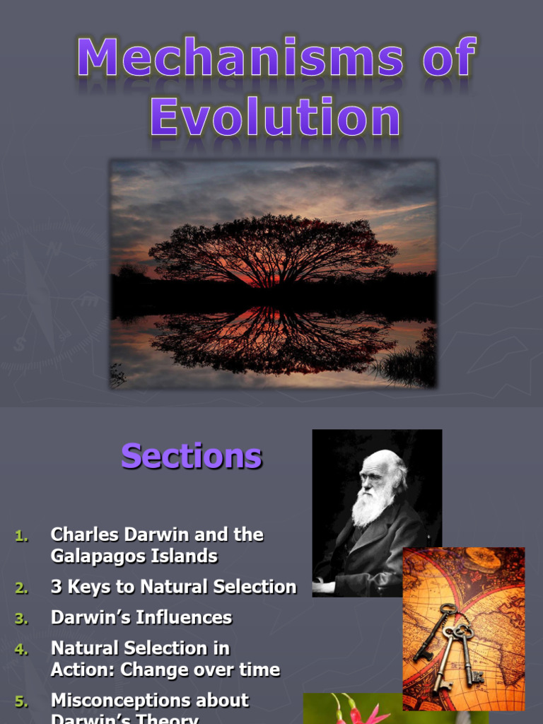Mechanismsof Evolution Charles Darwins Theory | PDF