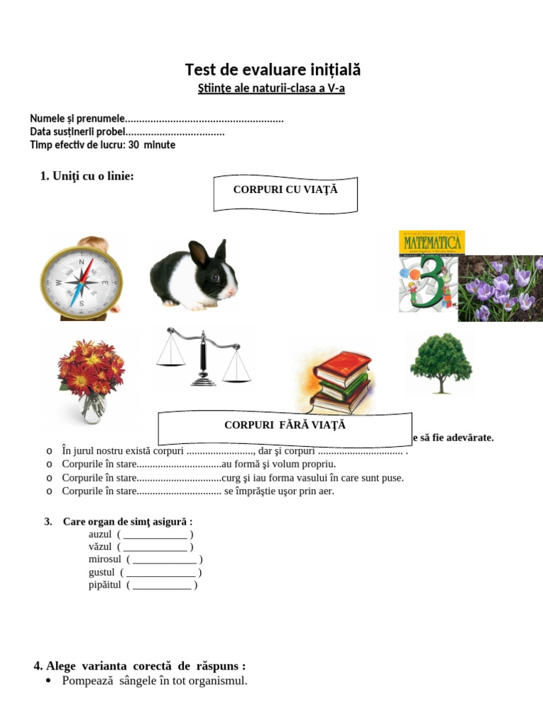 Proba de Evaluare Initiala La Stiinte, Clasa V-A | PDF