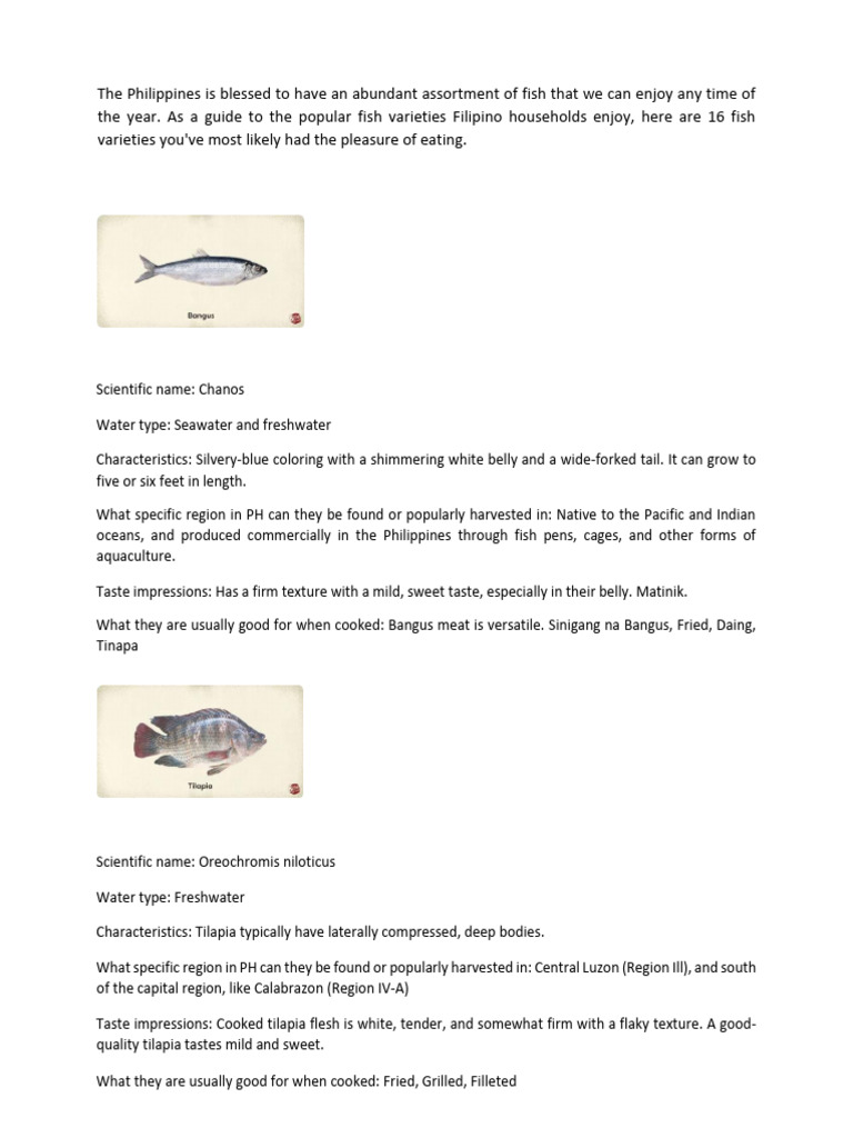 Popular Variety of Fish | PDF