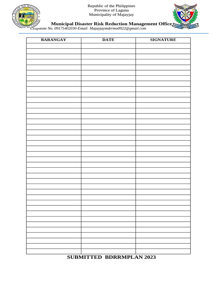 BDRRM Plan 2023 | PDF