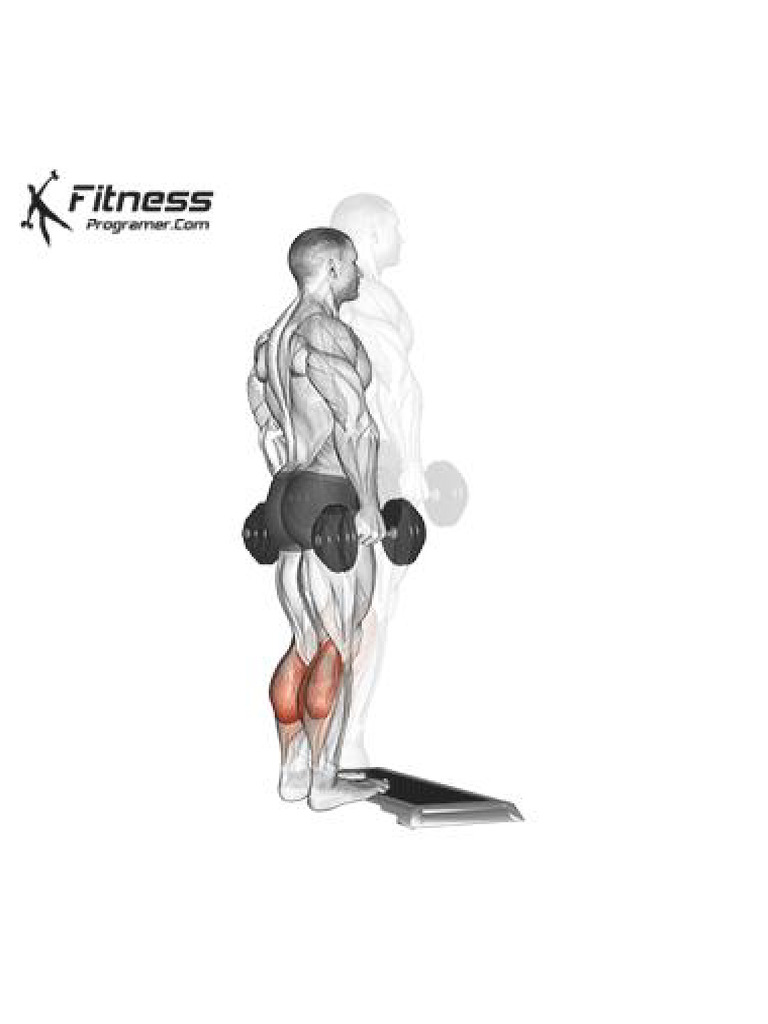 Dumbbell Calf Raise | PDF