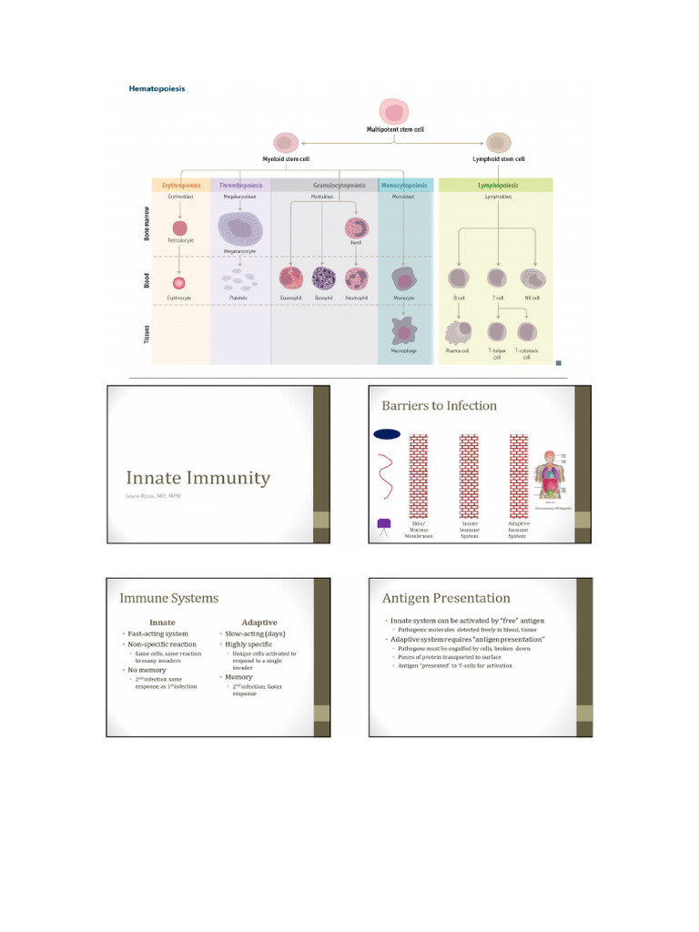 Immuno 1 | PDF