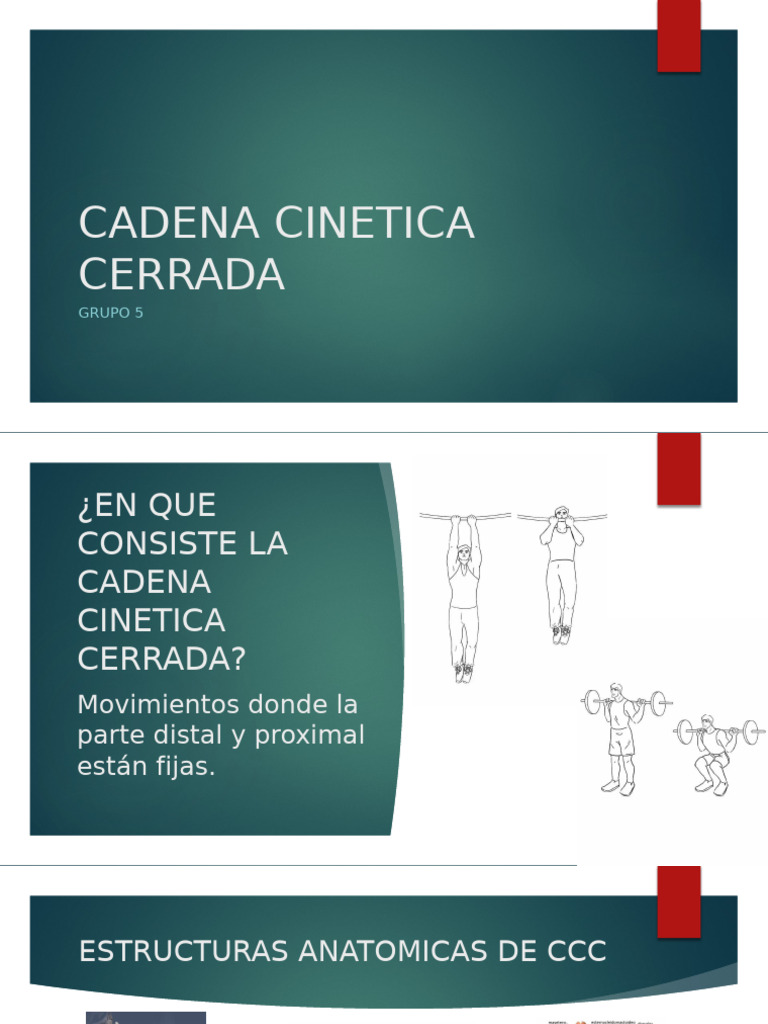 Presentación Cadena Cinetica Cerrada | PDF