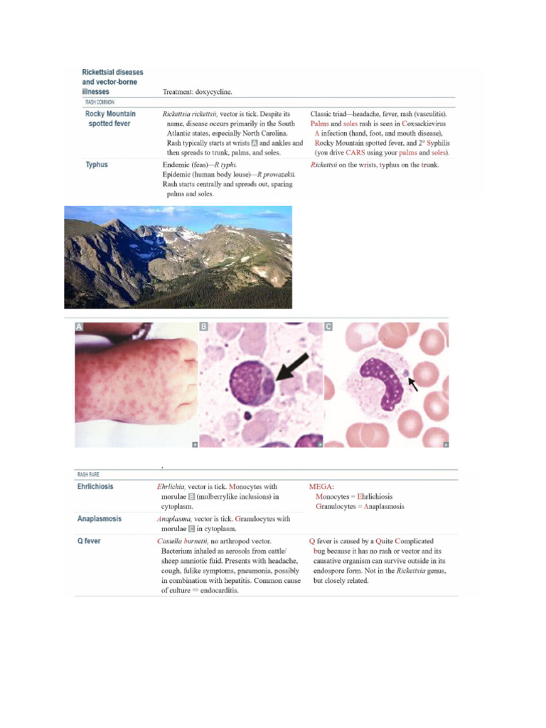 Bacteriology 9 | PDF