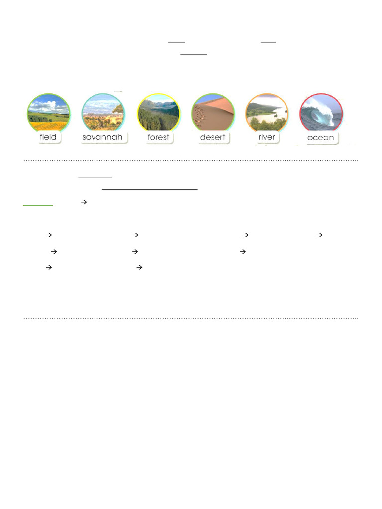 English Worksheet Habitats ANSWERS | PDF