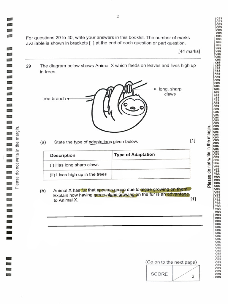 CBS Science Prelim 2024 Booklet B | PDF