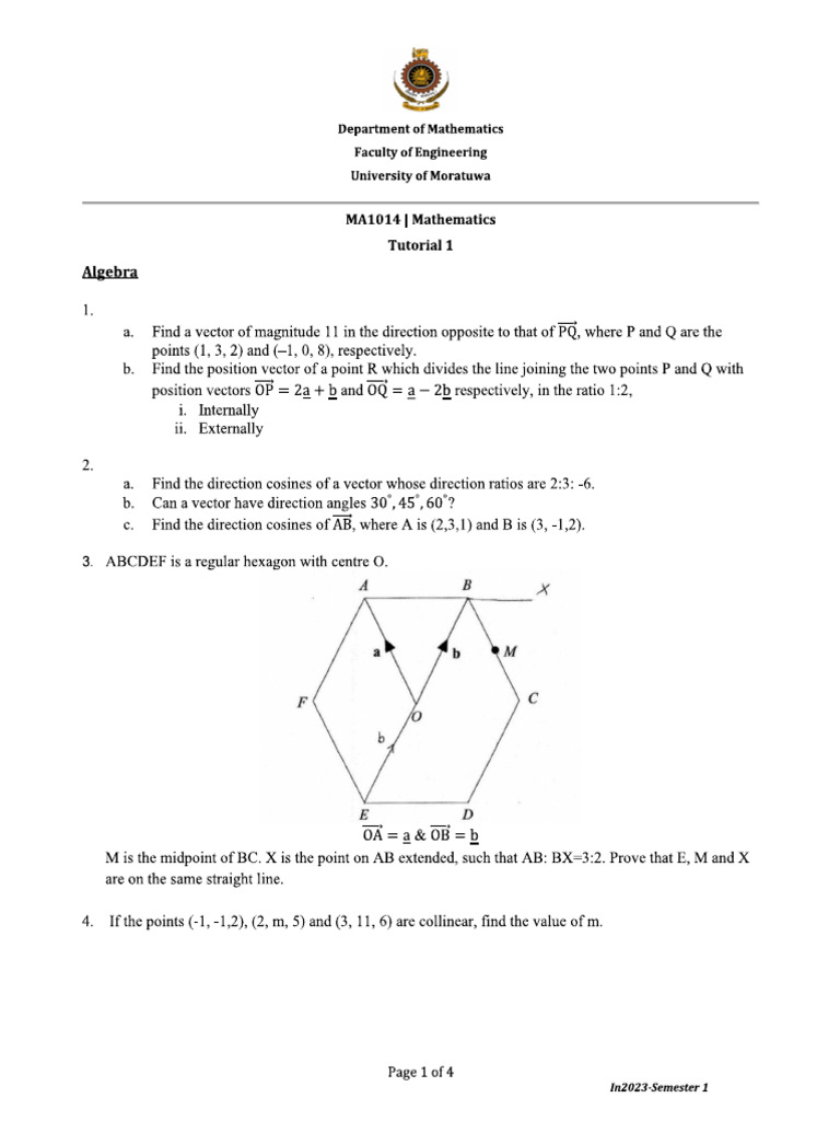 Maths Tutorial 1 | PDF