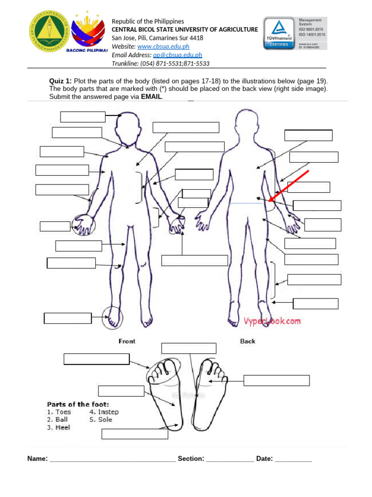 Quiz-1-The-BODY | PDF