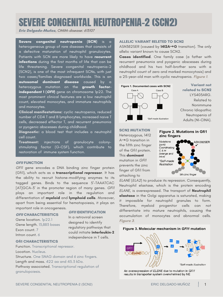 SCN2 EricDelgadoMuñozv3 | PDF