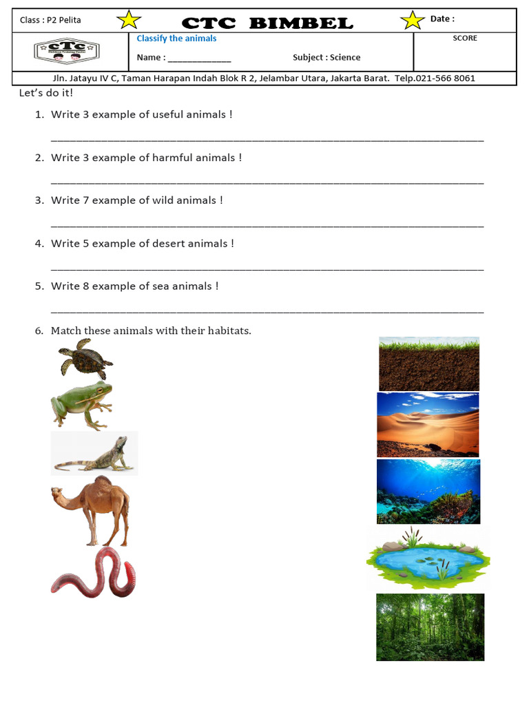 Classify of the animals-1 | PDF