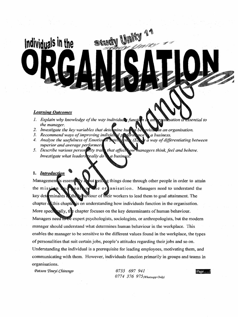 Study Unit 11 - Individuals in An Organisation BM2 | PDF