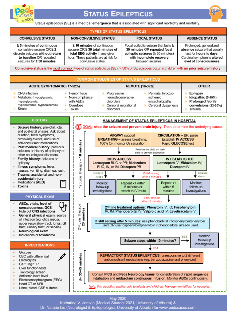 Status Epilepticus | PDF