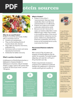 Plant-Based Protein Sources Handout (1) - 1737209874533 | PDF