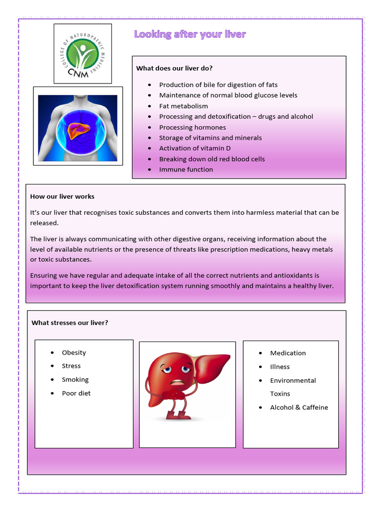 Looking After Your Liver Handout | PDF | Foods | Liver