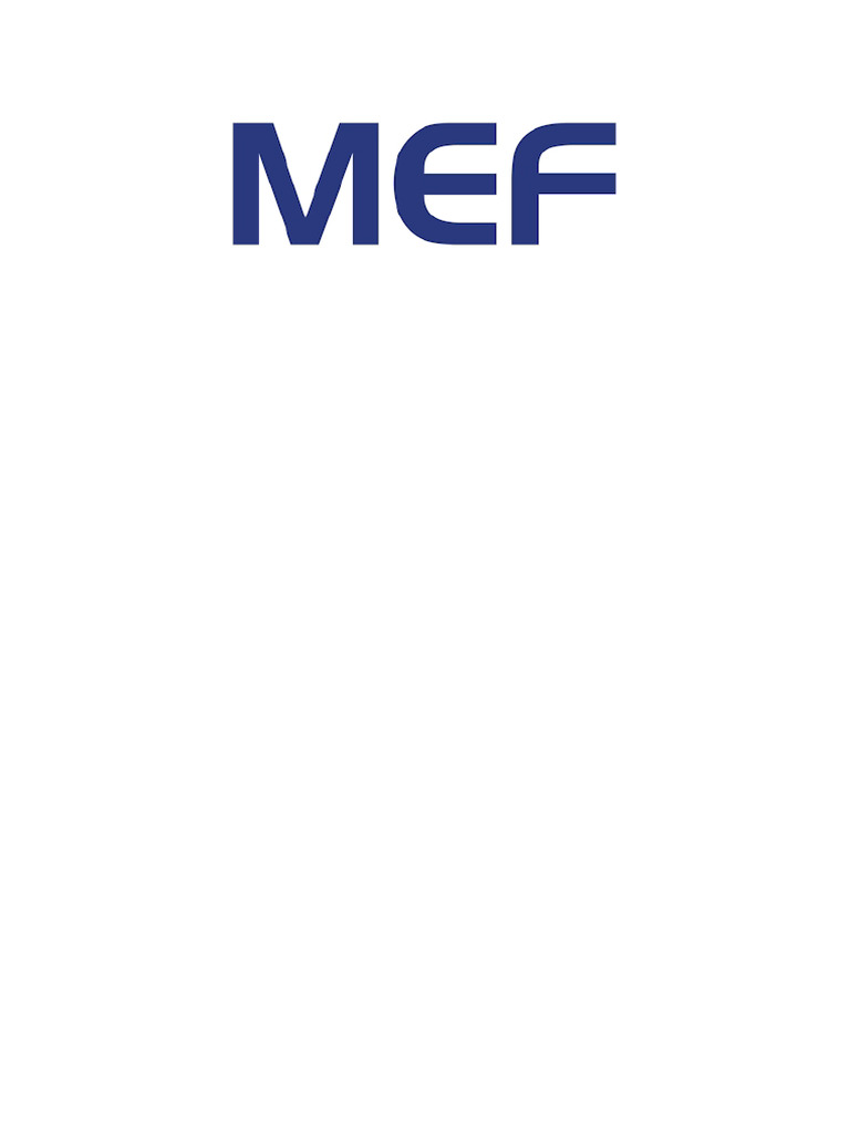 MEF_7.1 | PDF