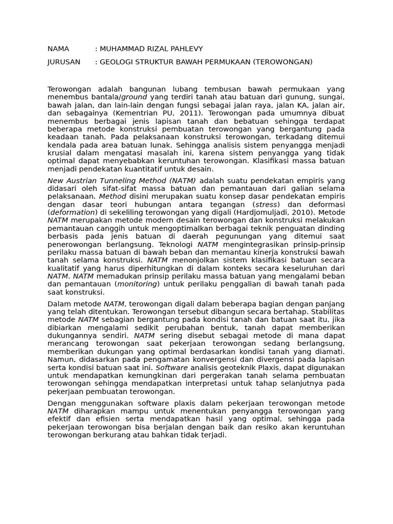 Essay | PDF