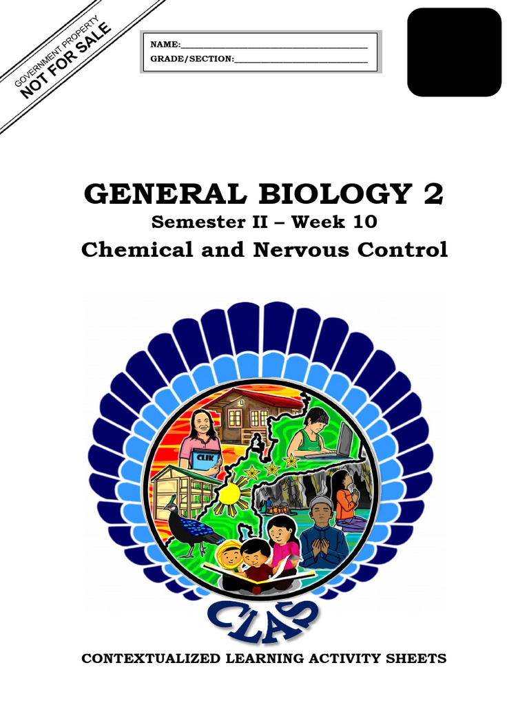 Grade 12 2nd Activity Chemical and Nervous Control | PDF