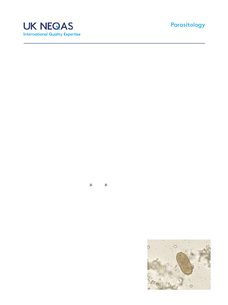 Capillaria Philippinensis | PDF