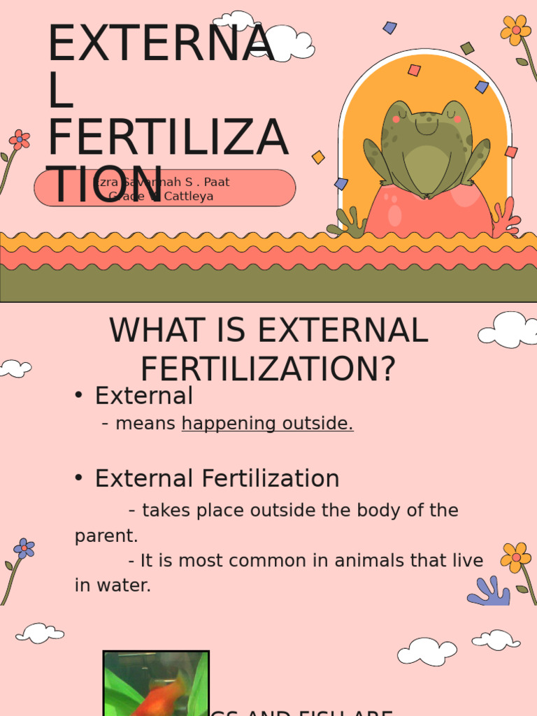 External Fertilization | PDF
