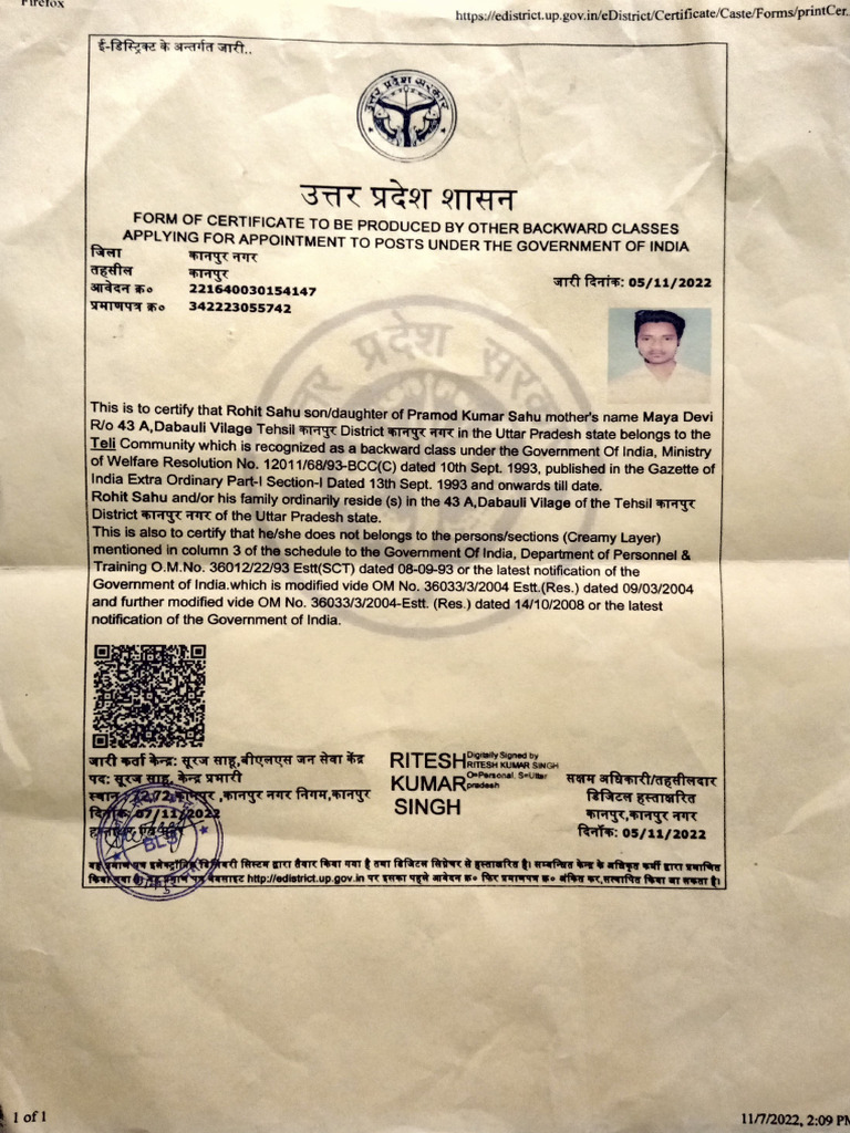 Rohit Cast Certificate | PDF