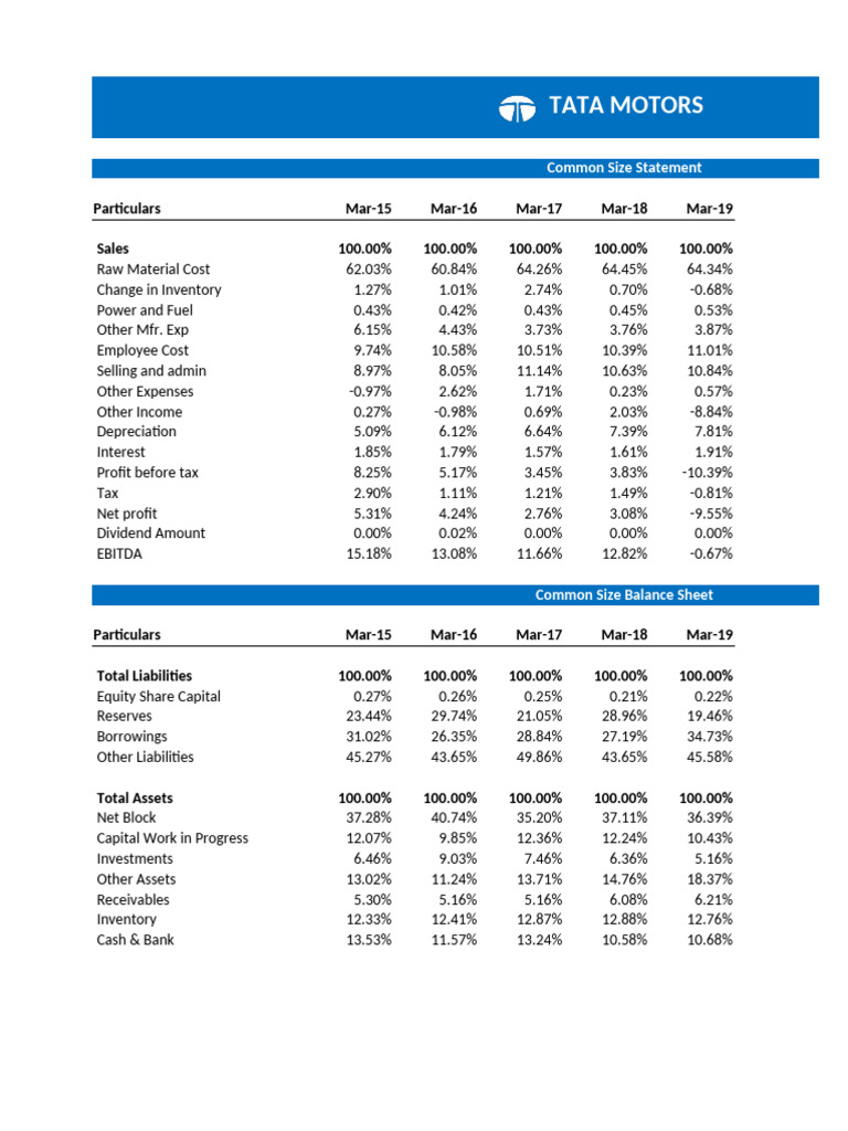Common Size Statement | PDF