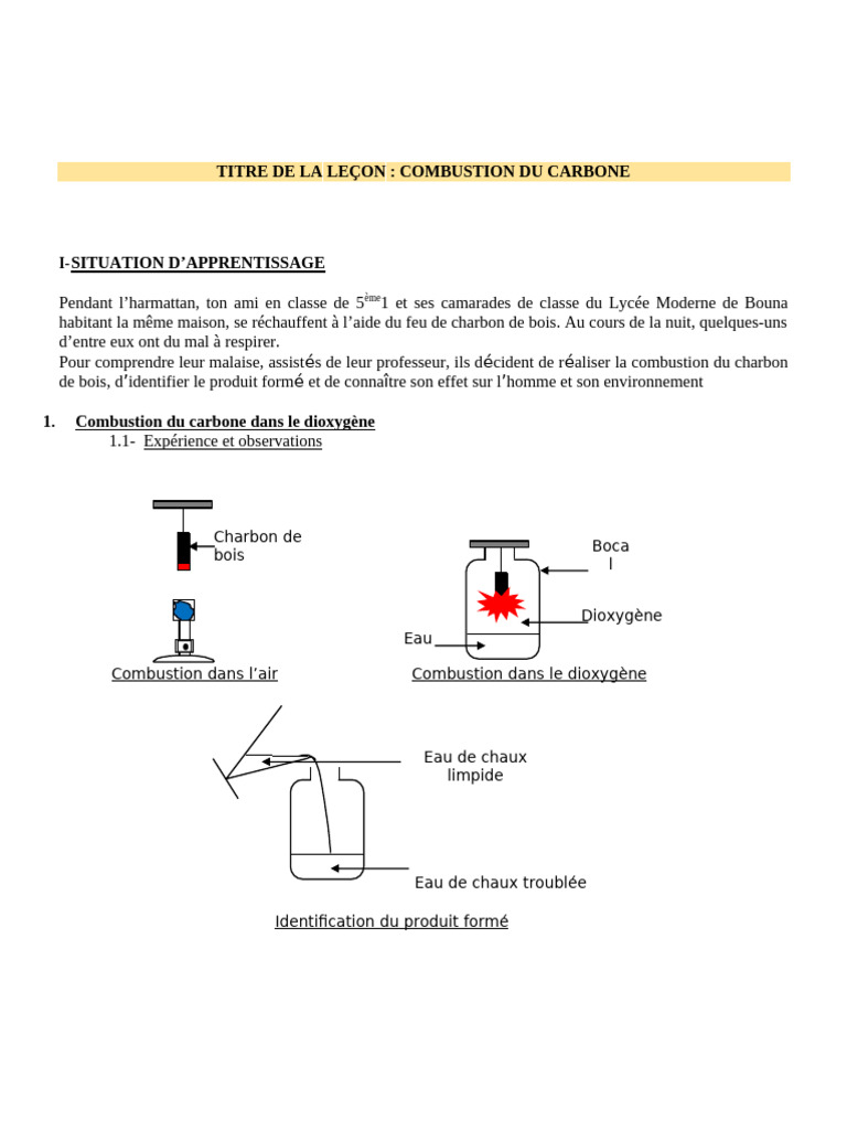 Combustion Du Carbone Pc5 | PDF