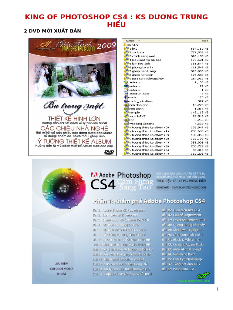 Duong Trung Hieu | PDF